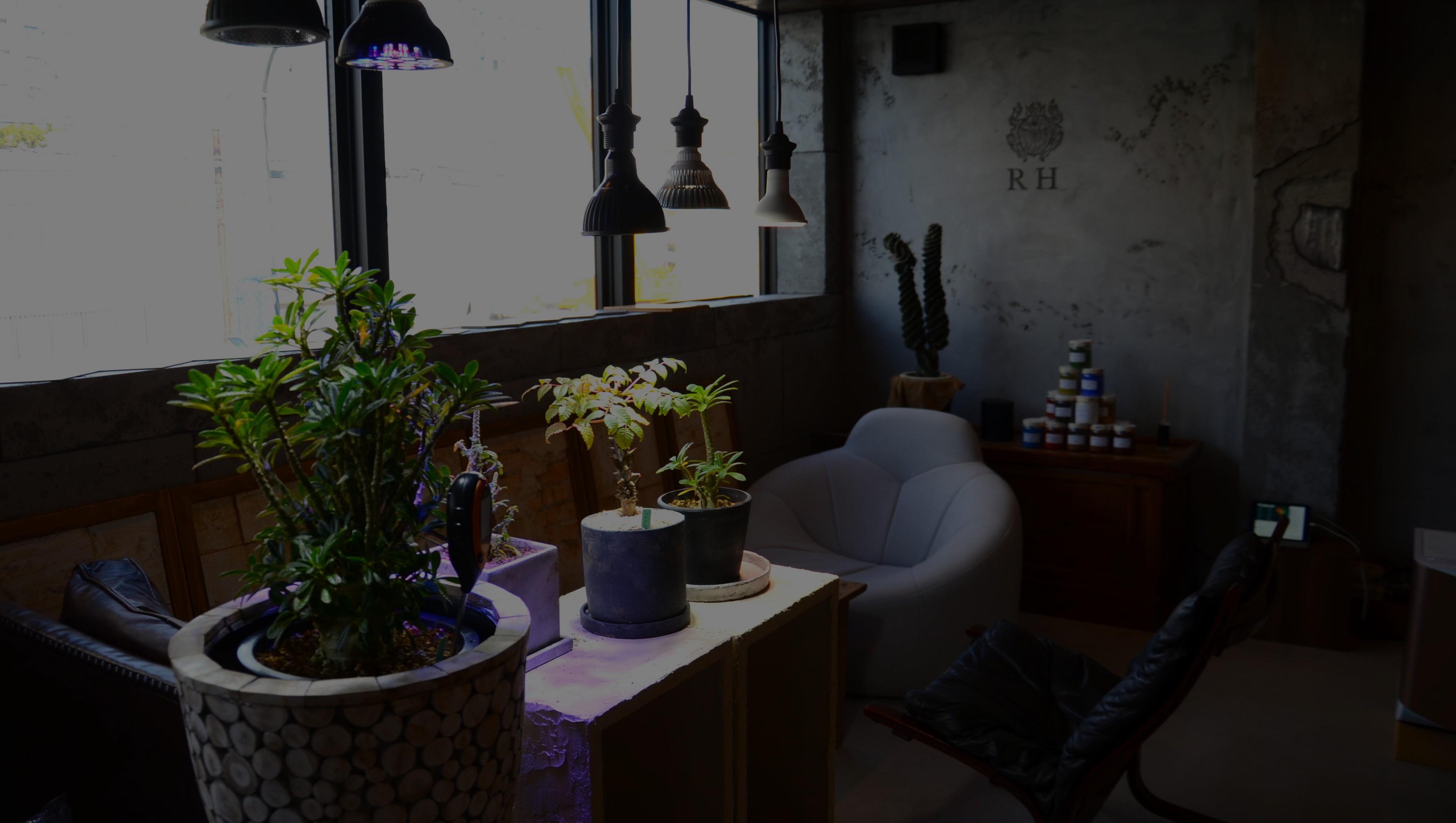 株式会社RH |コンセプト