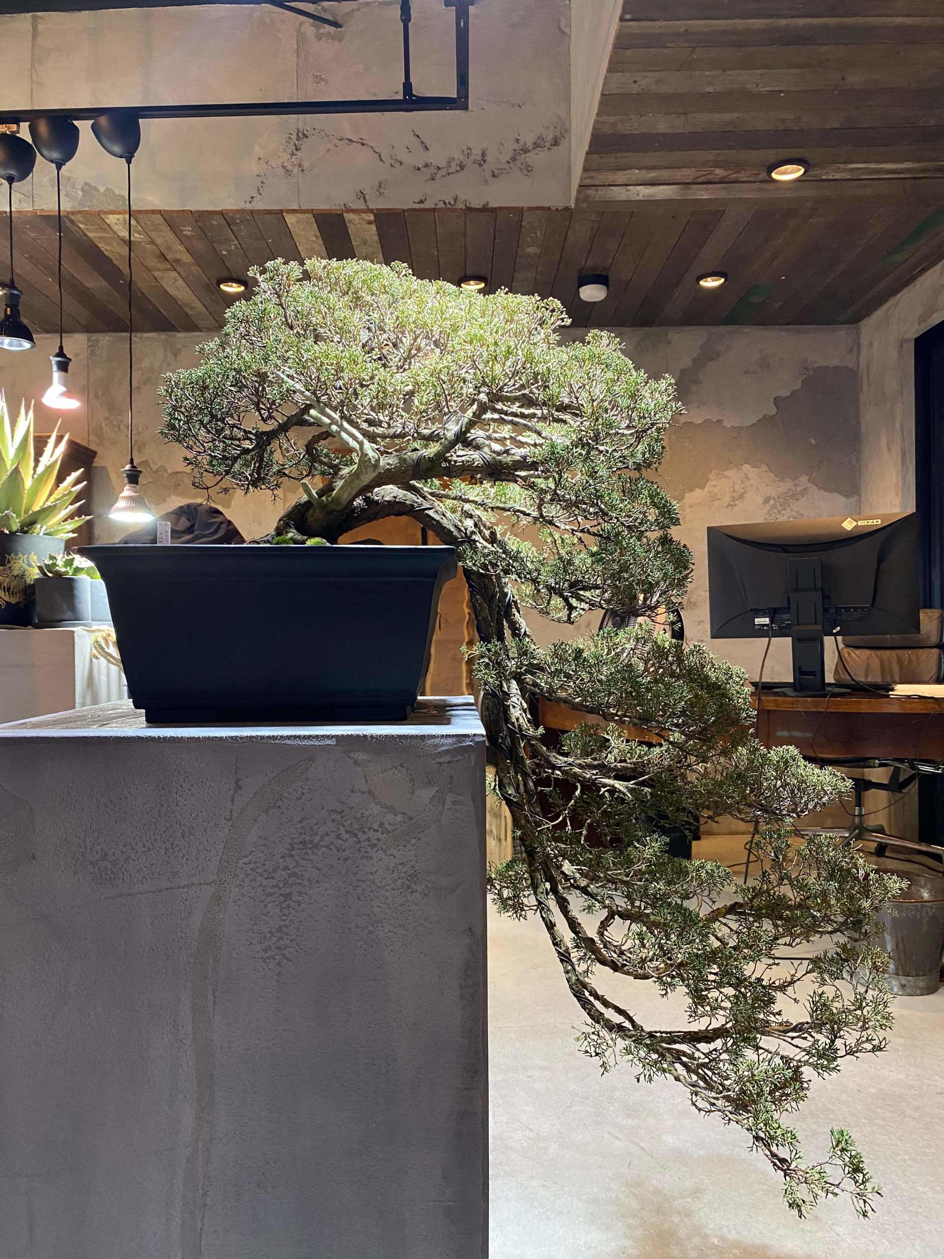 RH – RH Ltd,株式会社RH